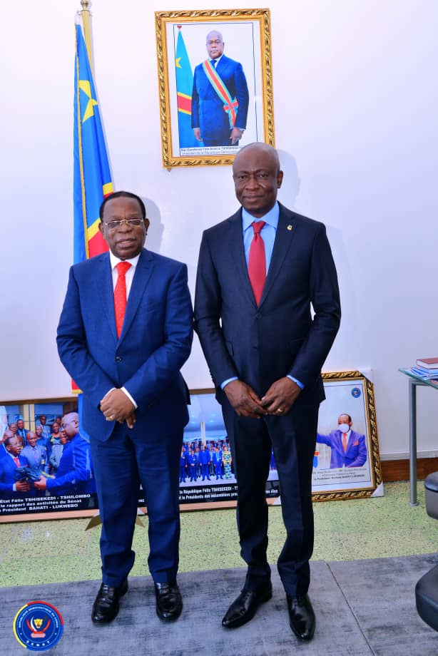 RDC/Élections des gouverneurs : l'UDPS et l'AFDC à la base du report ...